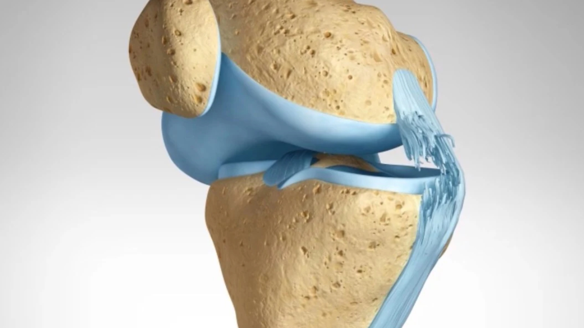 MCL Injury - High Street Clinic